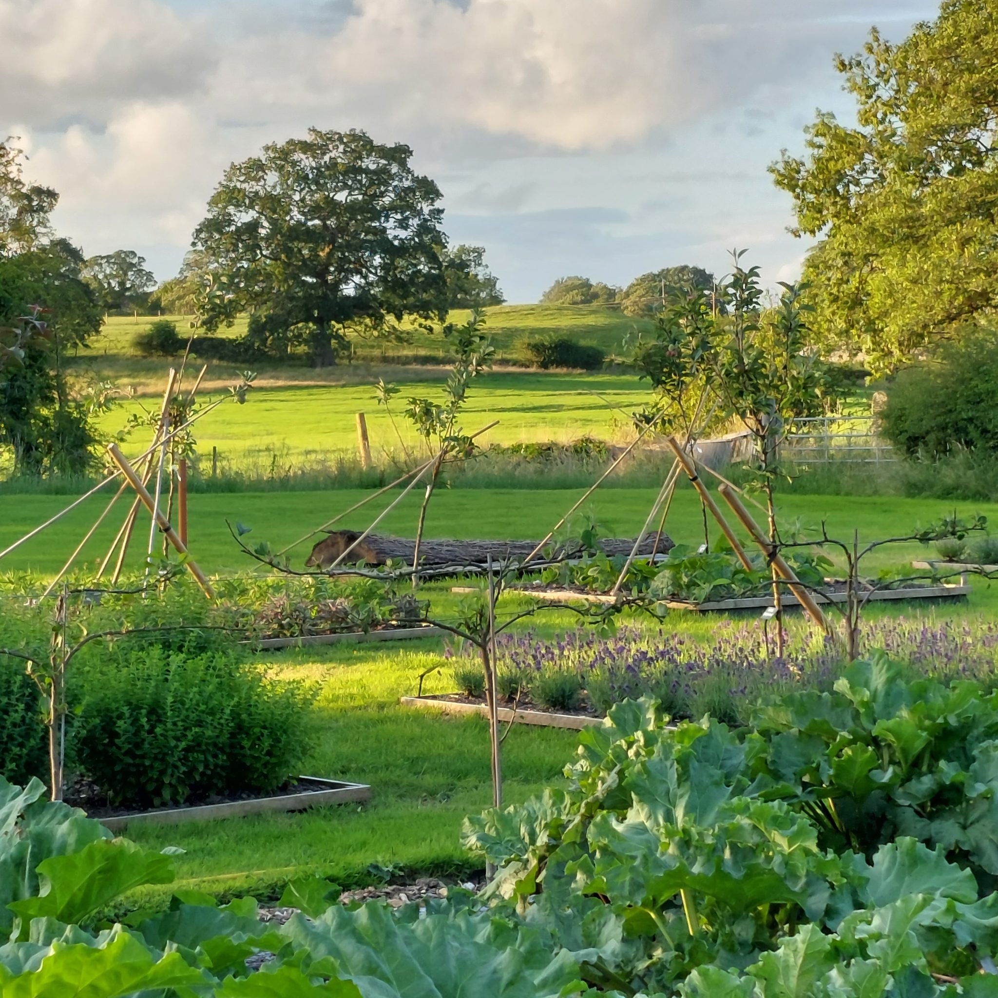 A Beautifully Modern B&B in Lancaster | LANCASTER BARN